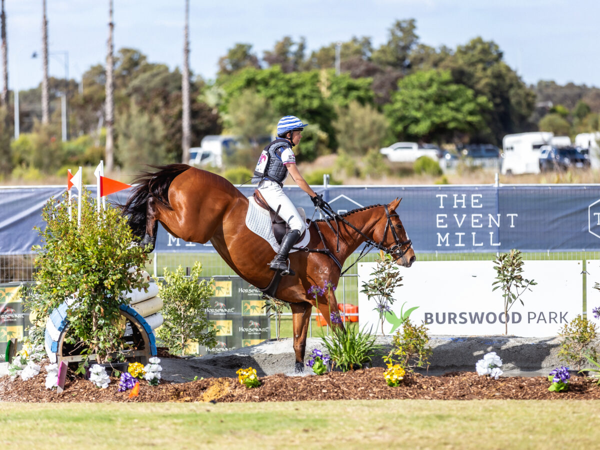 Equestrian In The Park 2022 - The Event Mill
