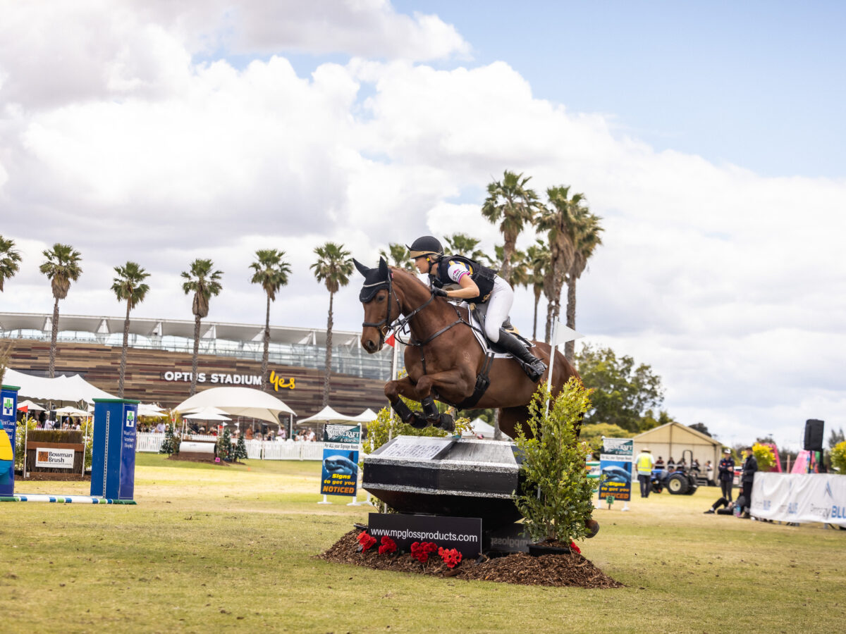 Equestrian In The Park 2022 - The Event Mill