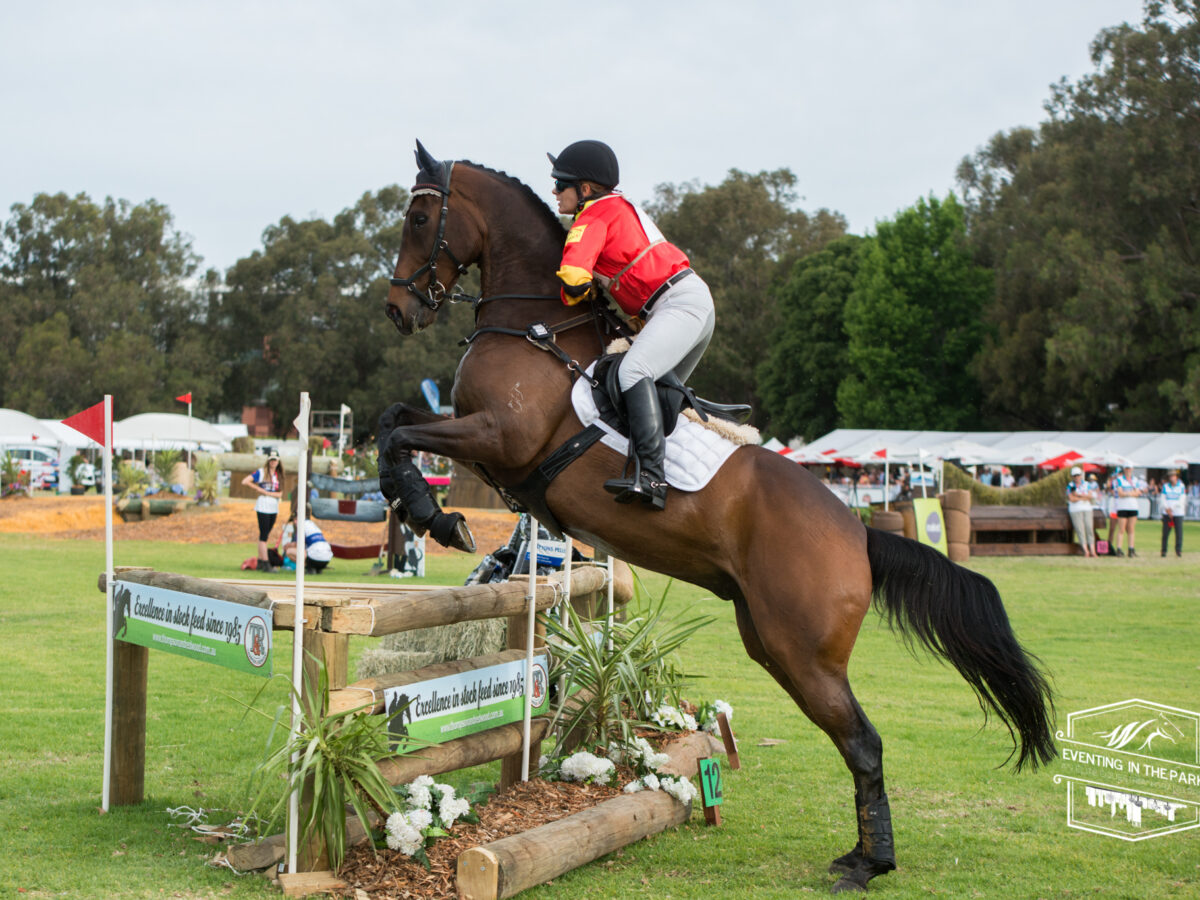 Equestrian In The Park 2016 - The Event Mill