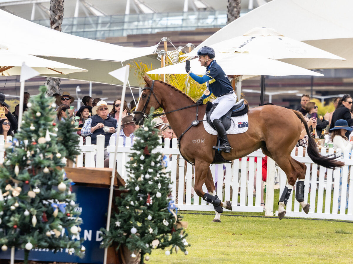 Equestrian In The Park 2022 - The Event Mill