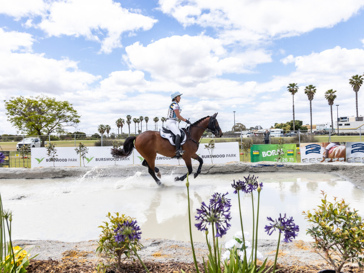 Equestrian In The Park 2022 - The Event Mill