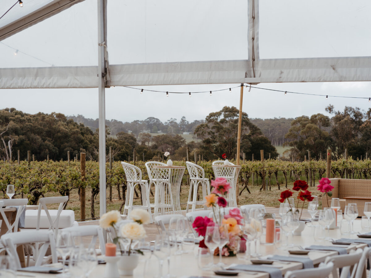 Fine Vines Festival - The Event Mill